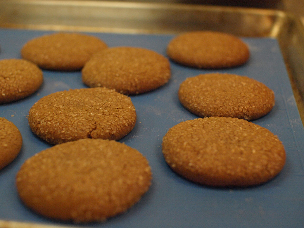 Ma’s Ginger Snaps from Iced Under – The Wickeds