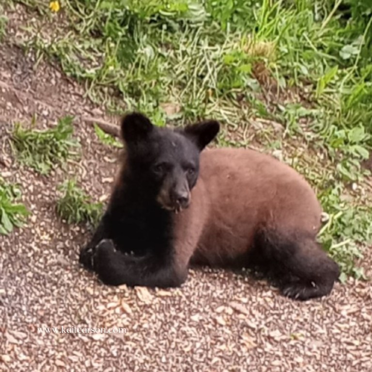 Welcome Back Kait Carson — Learning to Reason Without the Hurricane ...