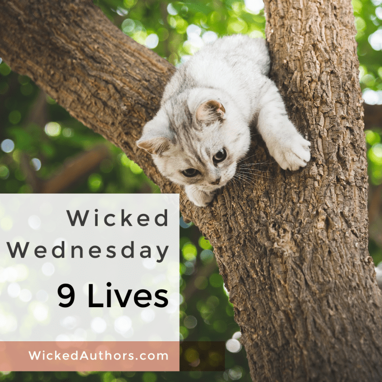 Wicked Wednesday – the nine lives of our protagonists – The Wickeds